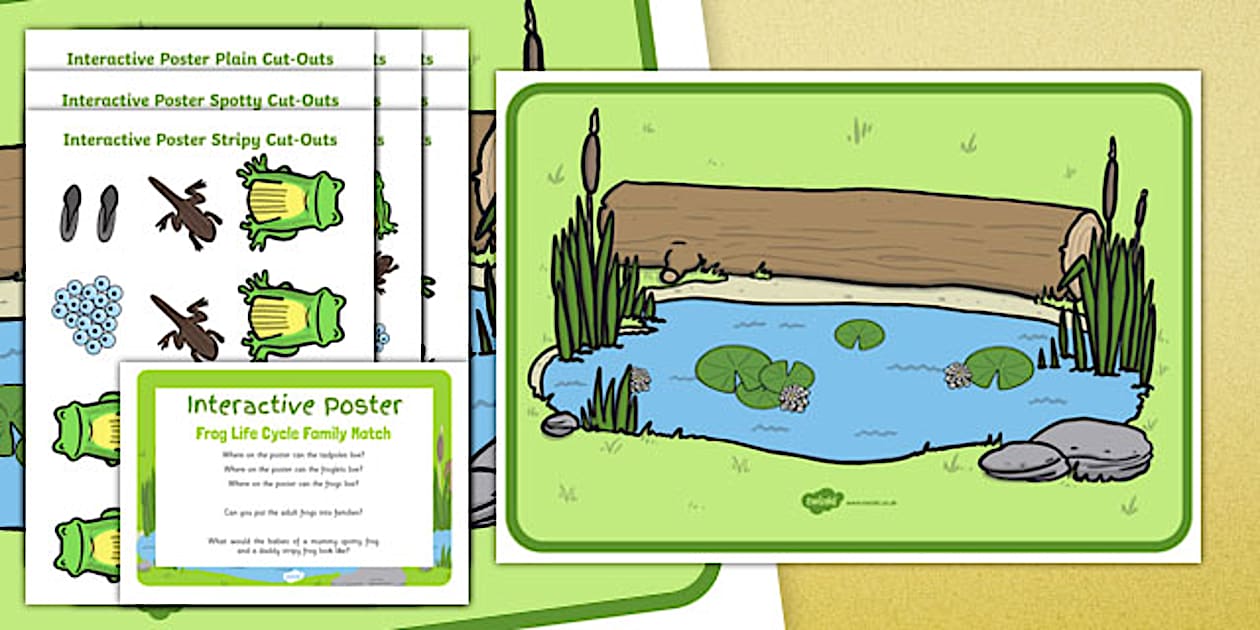Frog Life Cycle Family Match Interactive Poster and Resource Pack