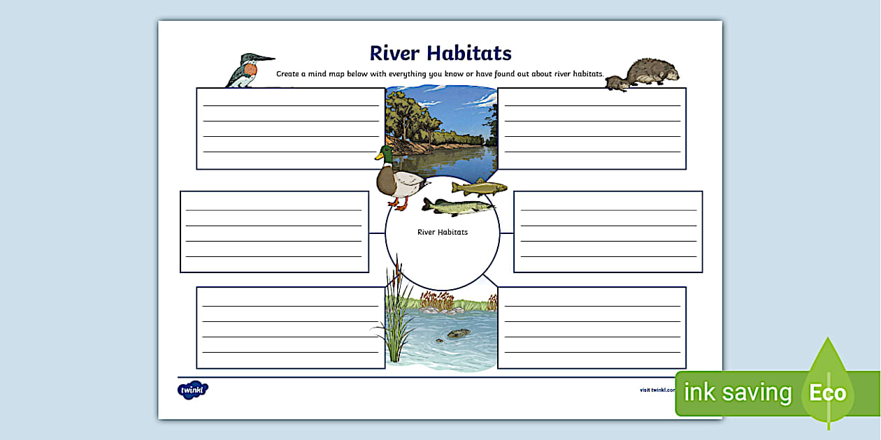 River Habitats Mind Map (teacher made) - Twinkl