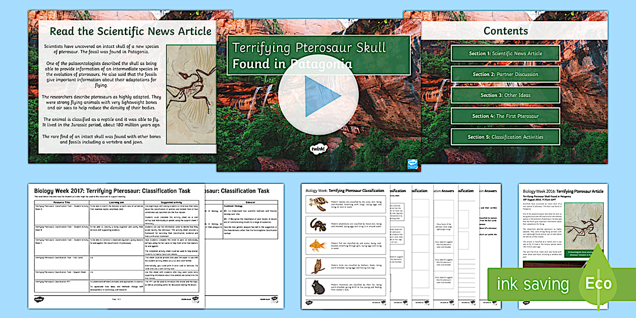 Biology Week Activity Pack (teacher made) - Twinkl