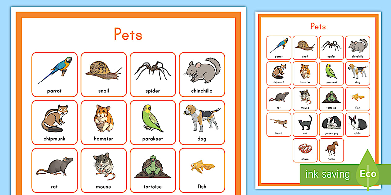 Pets Word Mat (teacher made) - Twinkl