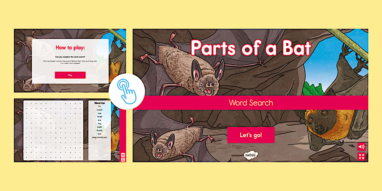 Parts of a Bat Interactive Word Search for K-2nd Grade