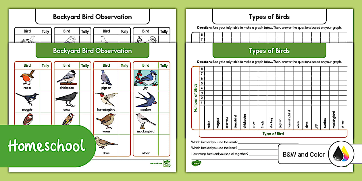 Backyard Bird Observation and Graphing (teacher made)
