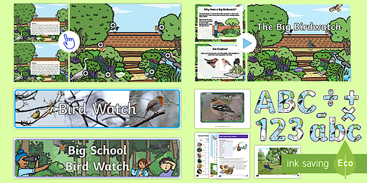 Big Schools' Bird Watch Resource Pack (Teacher-Made)