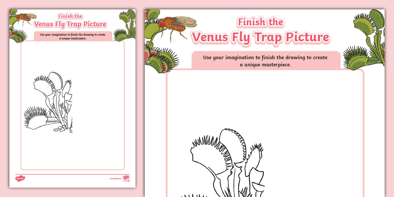 Finish the Venus Fly Trap Picture Worksheet (teacher made)