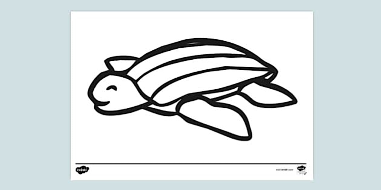 Cute Turtle Colouring Sheet | Colouring Sheets - Twinkl