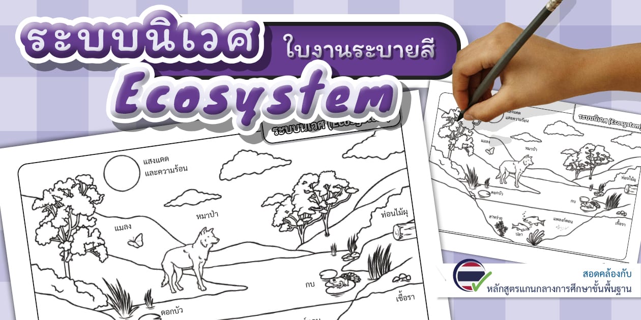 ใบงานระบายสี ระบบนิเวศ - Ecosystem Labelled Colouring Sheet