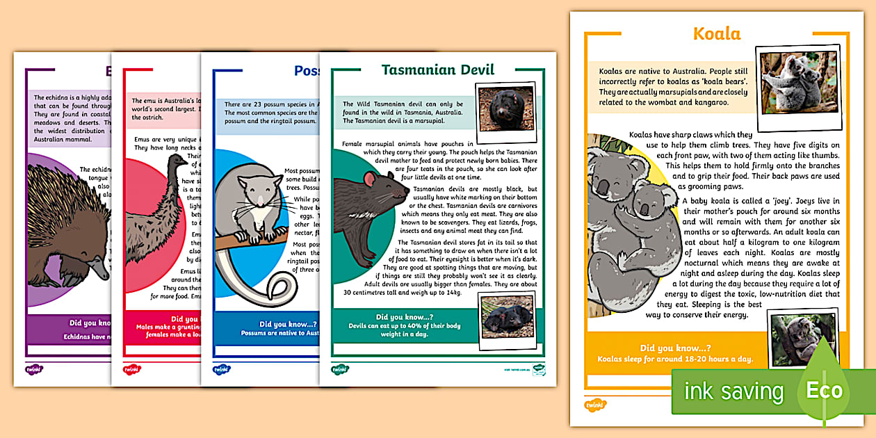 Australian Animals for Kids | Animal Fact Sheets - Twinkl