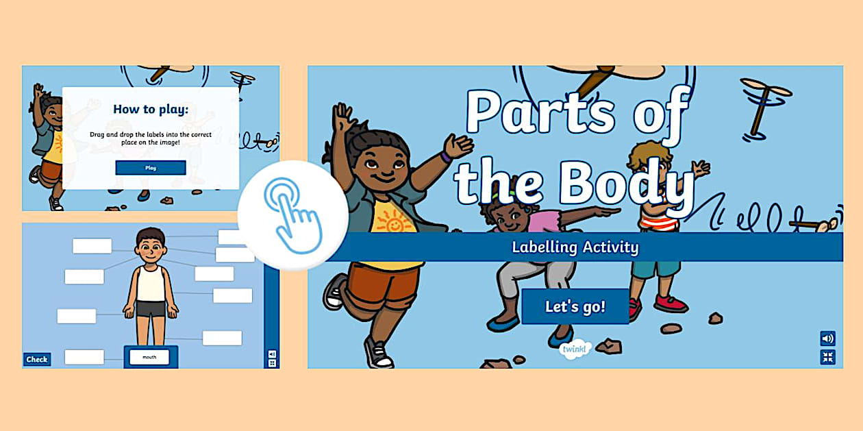 ESL Parts Of The Body Interactive Labelling Activity [Kids, A1]