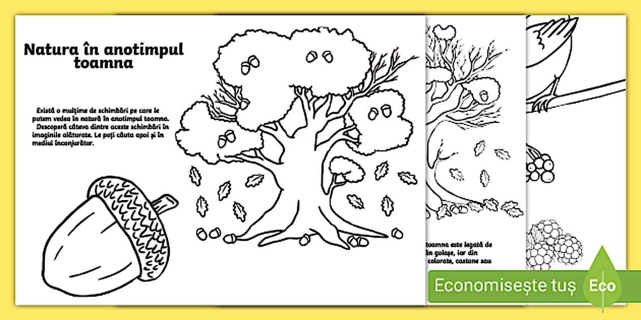 Peisaj de toamnă de colorat - Natura toamna - Desene Twinkl