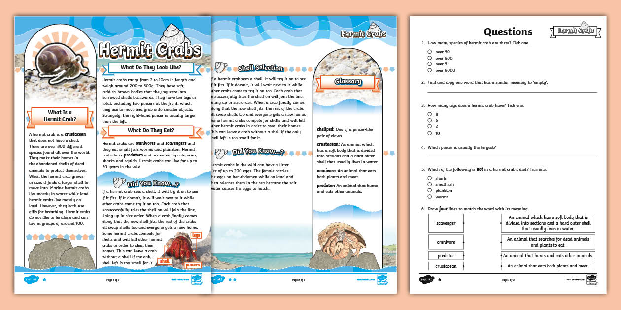 LKS2 Hermit Crab Differentiated Reading Comprehension Activity