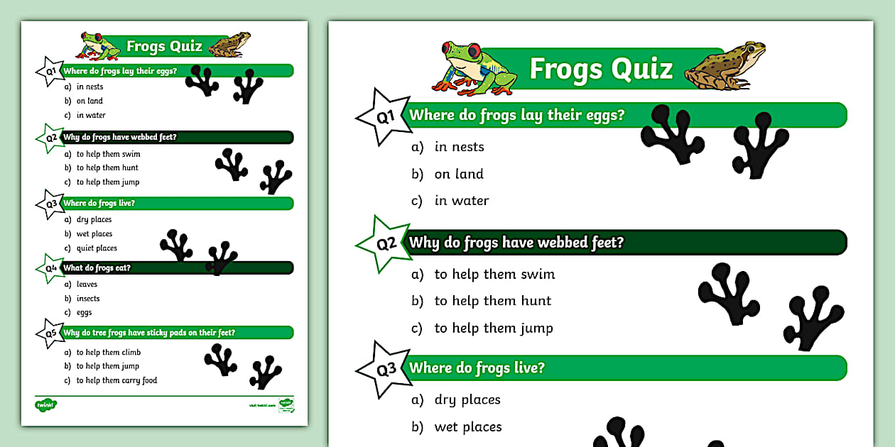 KS1 Frogs Paper Quiz (teacher made) - Twinkl