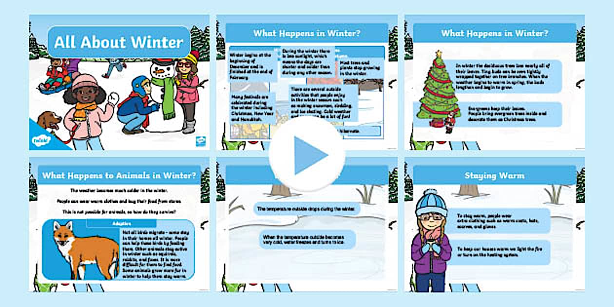 All About Winter (teacher made) - Twinkl