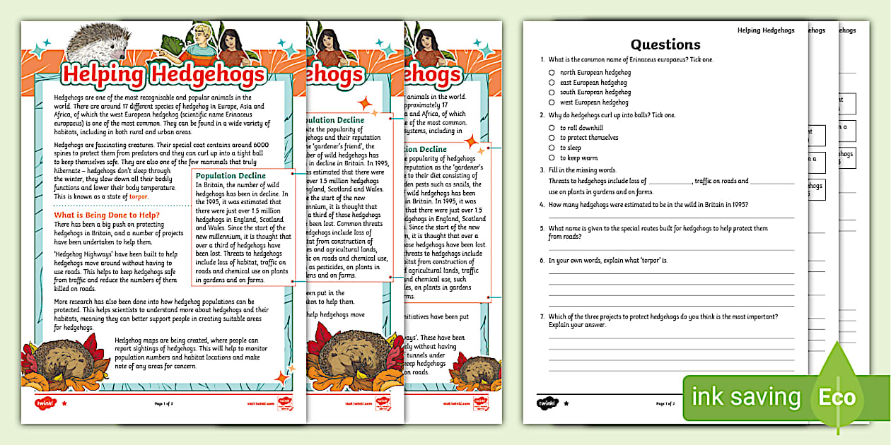 UKS2 Helping Hedgehogs Differentiated Reading Comprehension Activity