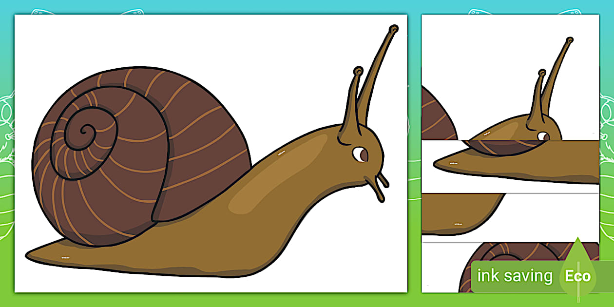 Extra Large Display Snail Cut-Out (Teacher-Made) - Twinkl