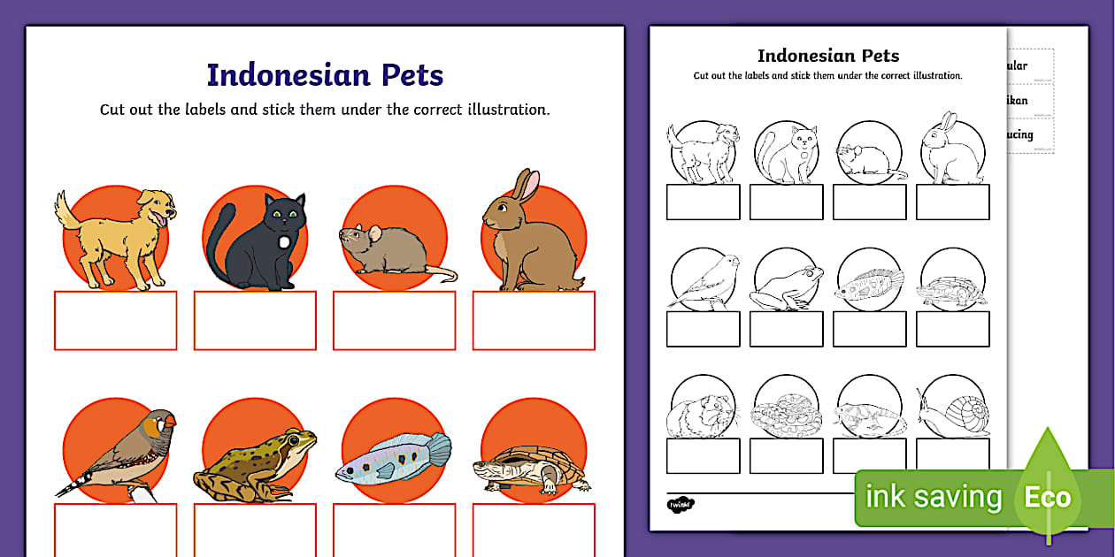 Pet Animals Cut and Paste Indonesian Activity Young Learners