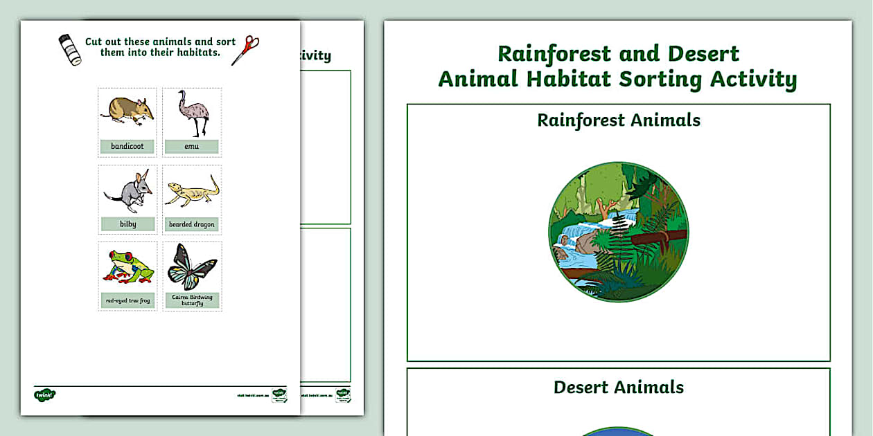 Rainforest and Desert Animals Habitat Sorting Activity