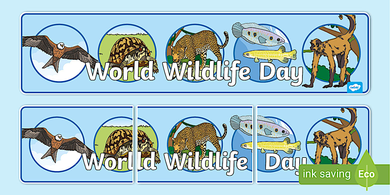 World Wildlife Day Display Banner (teacher made) - Twinkl