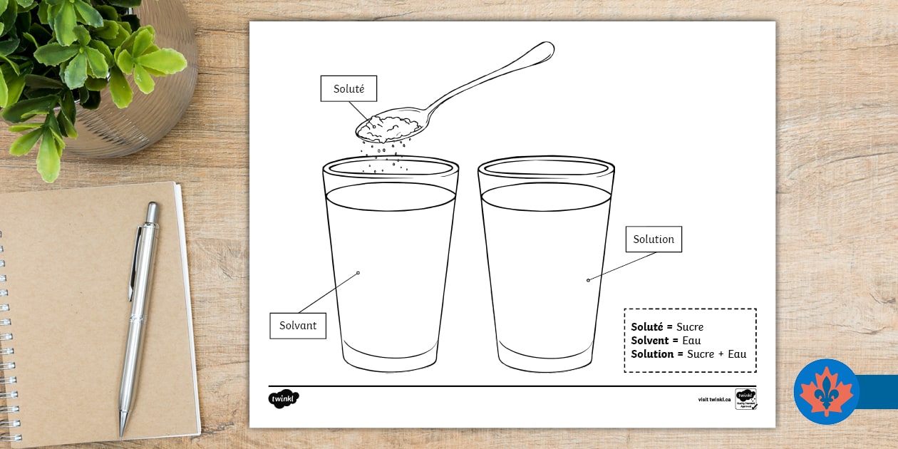 Solute, Solvent and Solution Colouring Sheet French - Twinkl