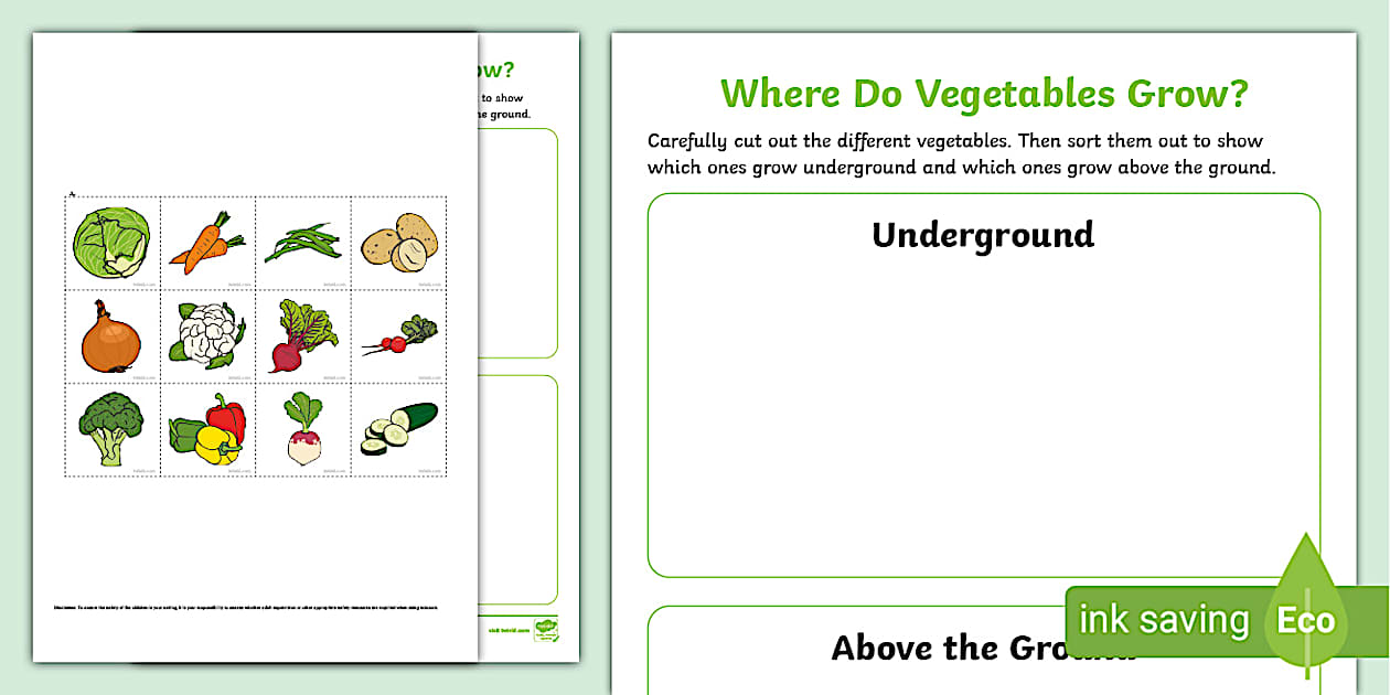 Where Do Vegetables Grow? Sorting Activity - Twinkl