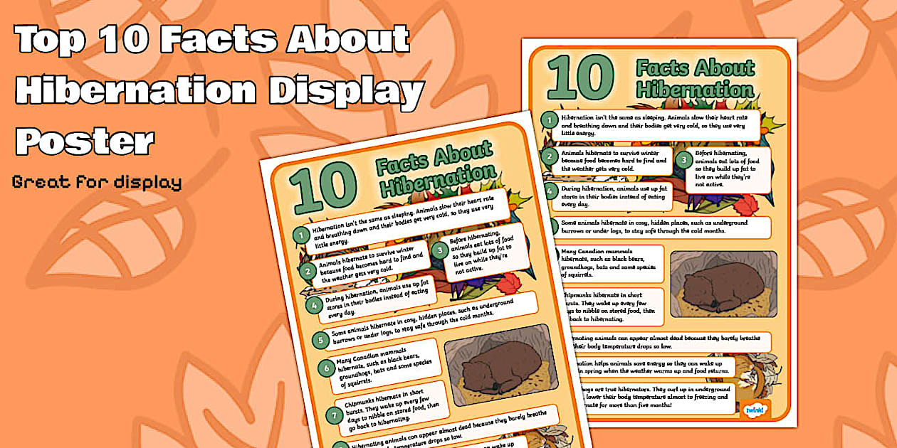 Top 10 Facts About Hibernation Display Poster