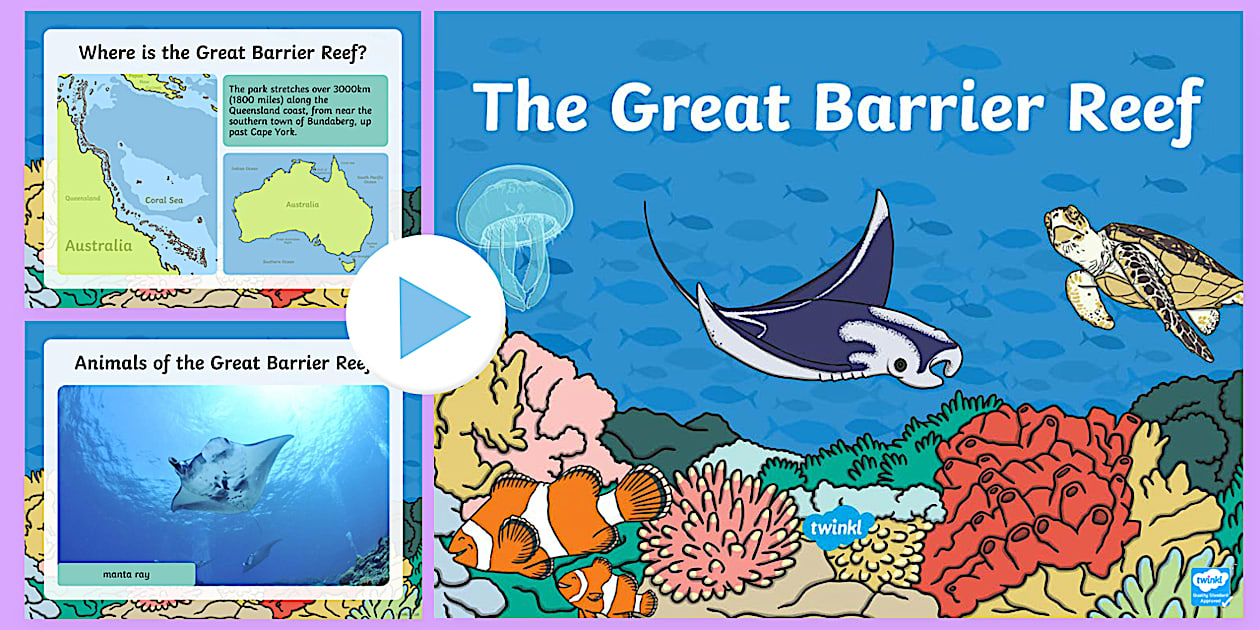 The Great Barrier Reef Presentation | Twinkl | PowerPoint