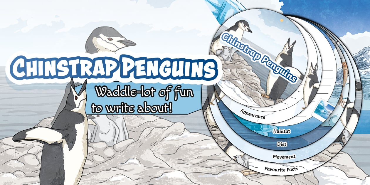 * NEW * Chinstrap Penguins Circles Booklet