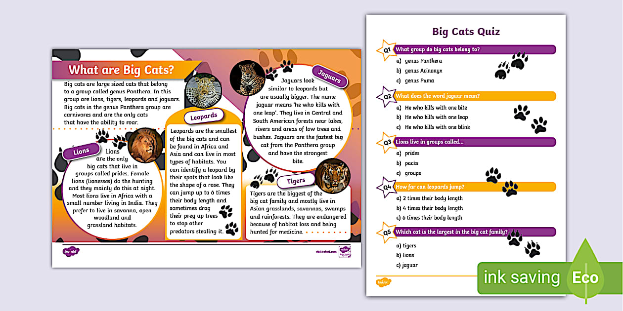 What are Big Cats? Fact File and Quiz (Teacher-Made)