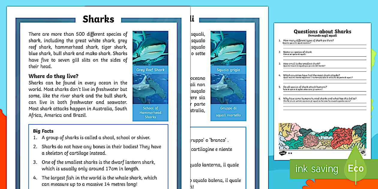 Editable Sharks Differentiated Reading Comprehension Activity English ...