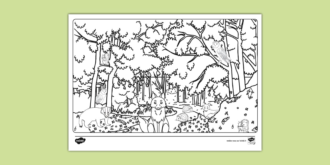 Coloriages : Les animaux de la forêt (teacher made)