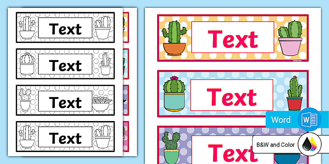 Succulent Editable Labels (teacher made) - Twinkl
