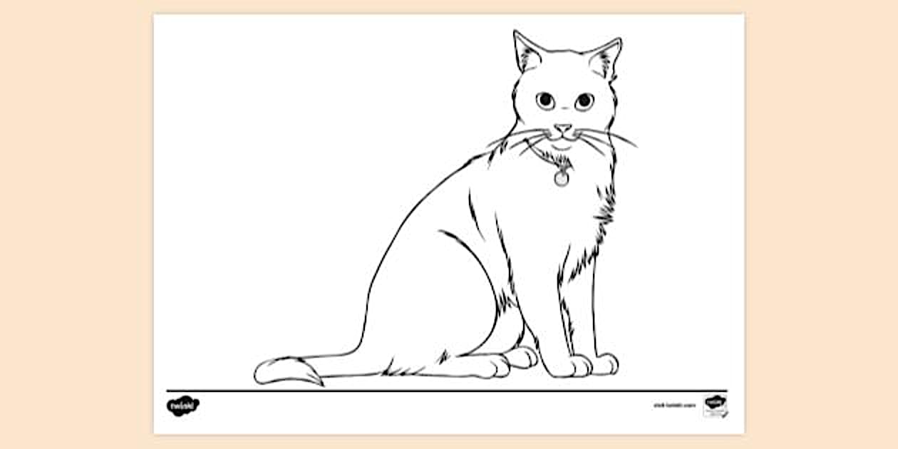 Cat Colouring Sheet | Colouring Sheets - Twinkl