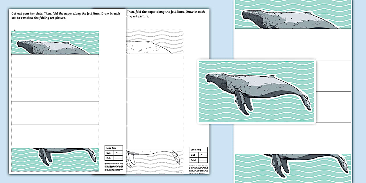 Whale Folding Art Template (Teacher-Made) - Twinkl