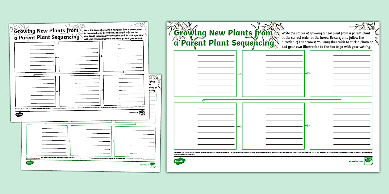 Growing New Plants from a Parent Plant Sequencing Mind Map