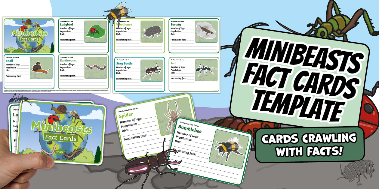 Minibeasts Fact Cards Template