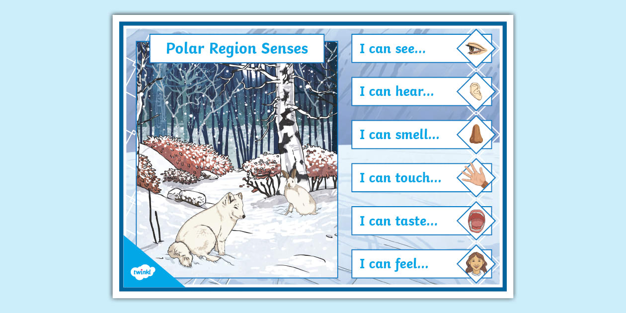 Polar Region Senses Display Poster - Twinkl