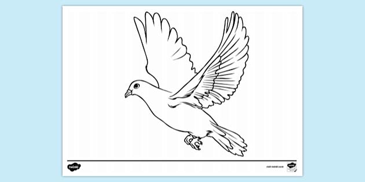 Dove Bird Colouring Sheet | Colouring Sheets (Teacher-Made)