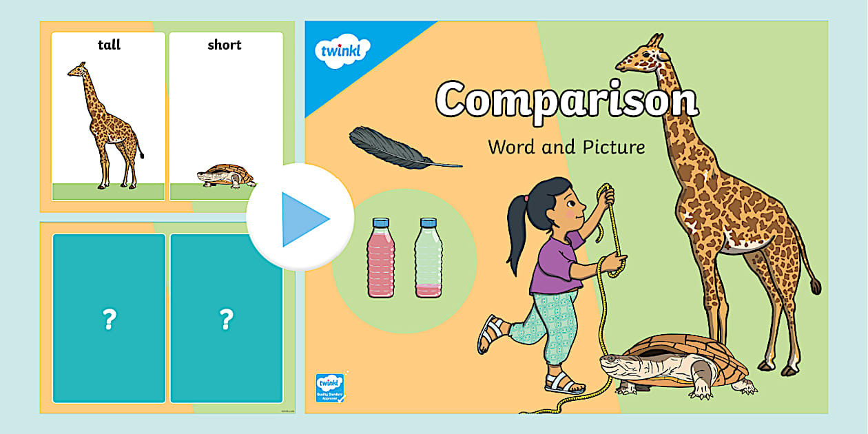 Size Comparison Display Posters (Word and Picture) - Twinkl