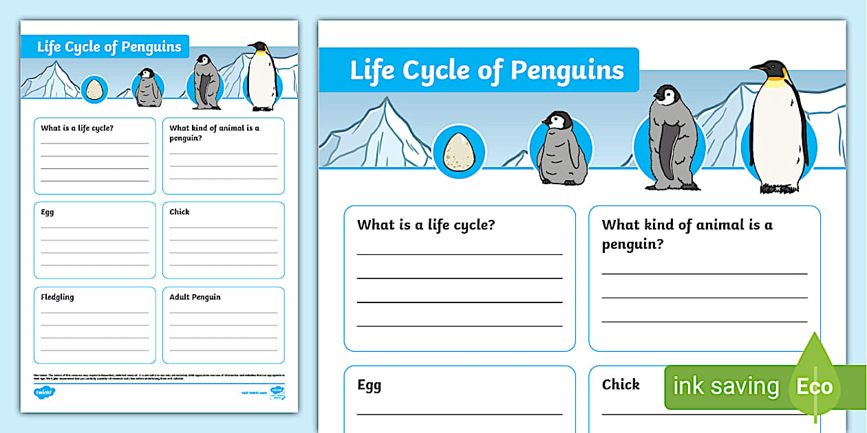 Penguin Life Cycle Fact File Template (Teacher-Made)
