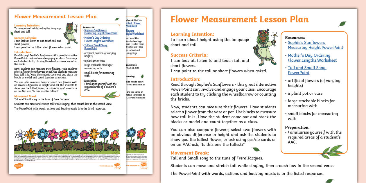 Measuring Flowers Lesson Plan (Pre-Foundation)
