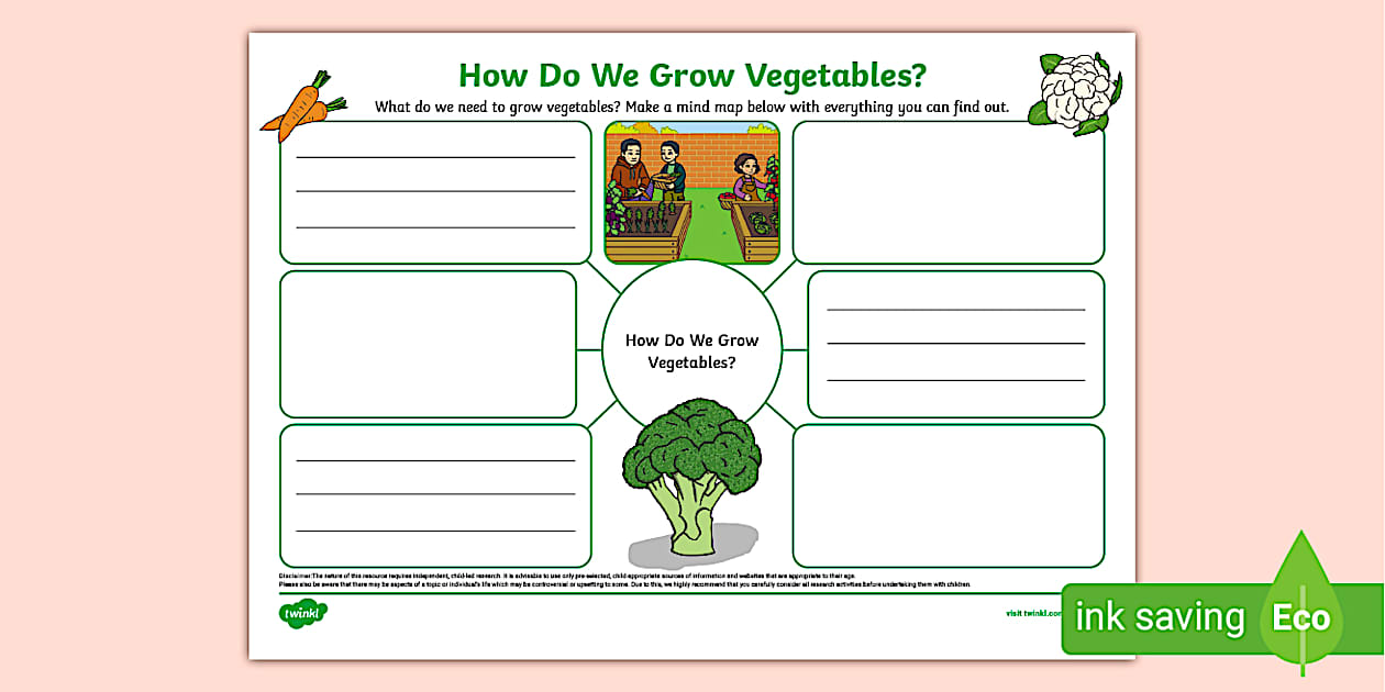 How Do We Grow Vegetables? Mind Map - Twinkl