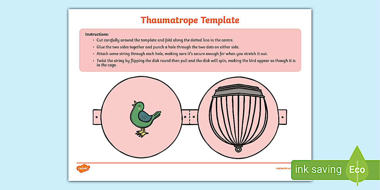 Bird in Cage Thaumatrope (teacher made) - Twinkl