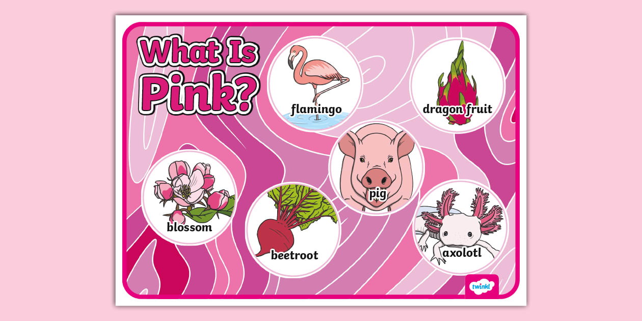 What Is Pink? Photo Display Poster (Teacher-Made) - Twinkl