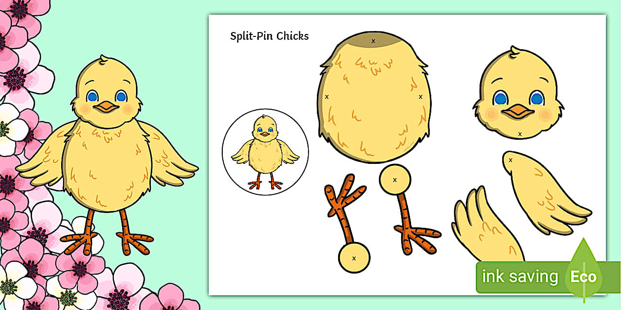 Split Pin Chick Activity - Twinkl - EYFS Spring - Crafts