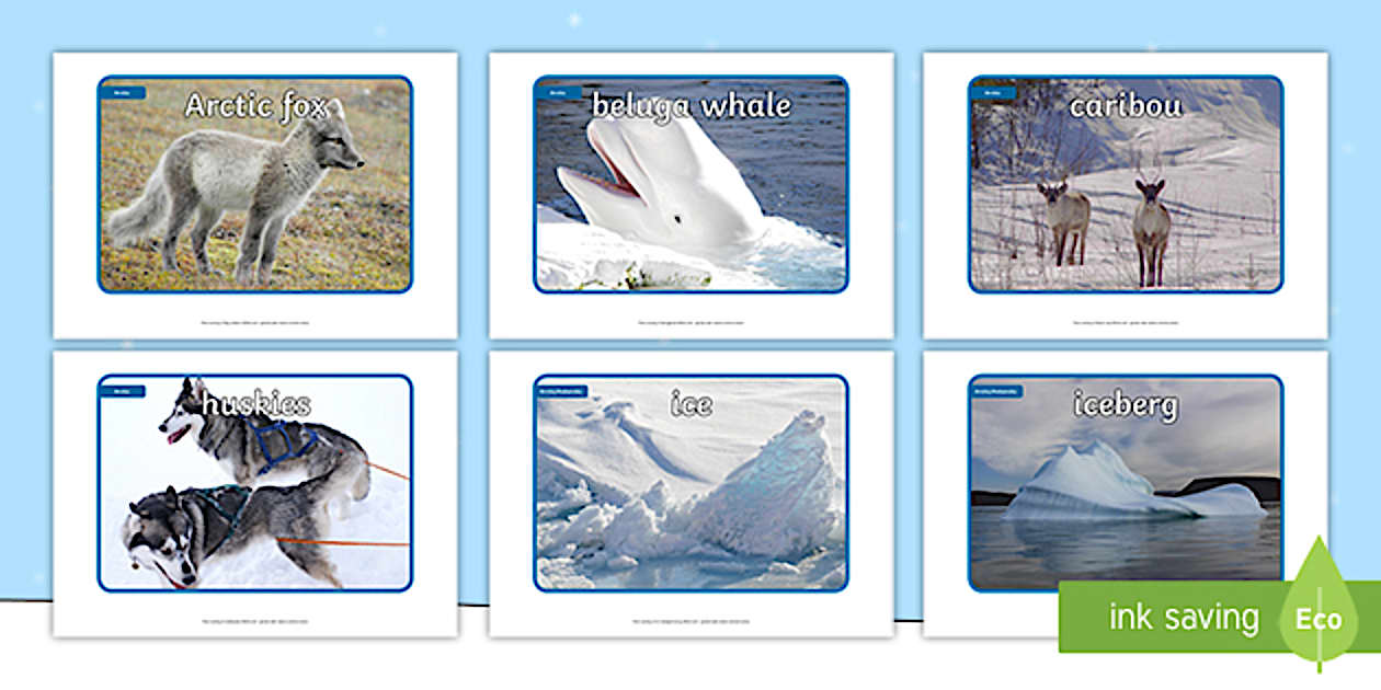 Cursive Polar Regions Display Photos (teacher made) - Twinkl