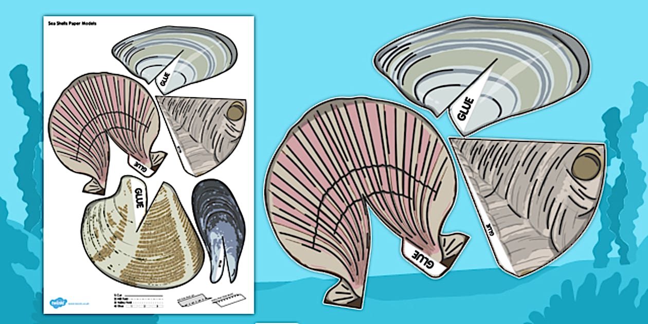 Under the Sea Simple 3D Paper Craft Sea Shells - Twinkl