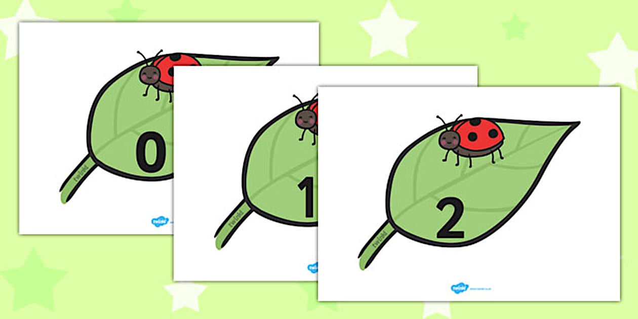 Numbers 0-30 on Ladybirds (teacher made) - Twinkl