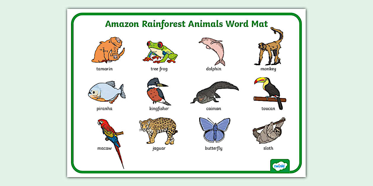 Amazon Rainforest Animals Word Mat | Twinkl - Twinkl