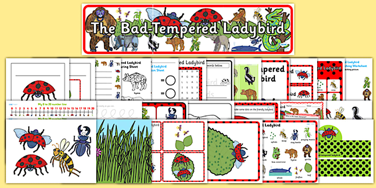 Resource Pack to Support Teaching on The Bad Tempered Ladybird
