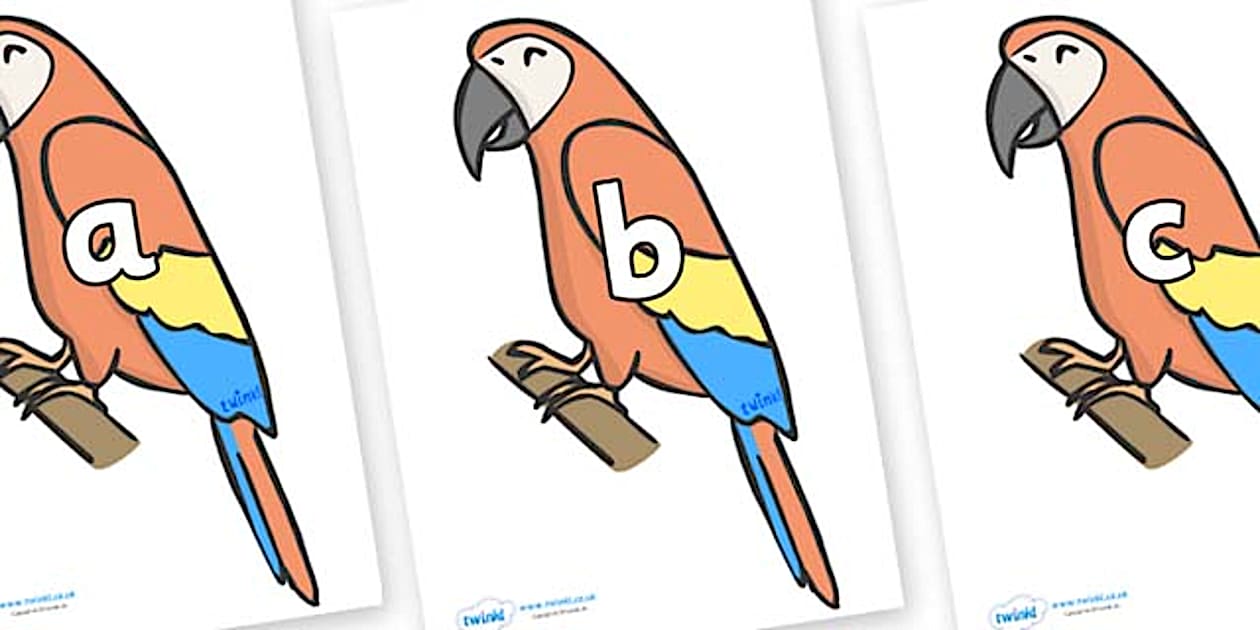 Phase 2 Phonemes on Parrots (teacher made) - Twinkl