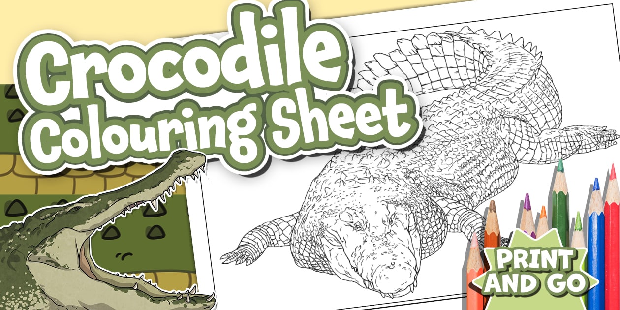 Intermediate Phase Life Skills - Crocodile - Colouring Sheet (CAPS Aligned)